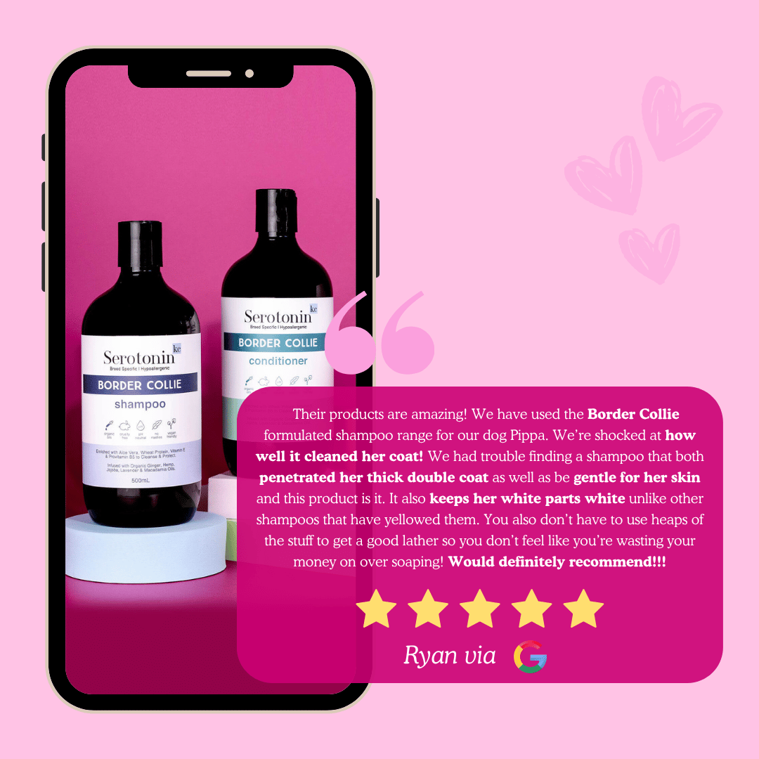 Serotoninkc Hypoallergenic Border Collie Shampoo & Conditioner Bundle ...