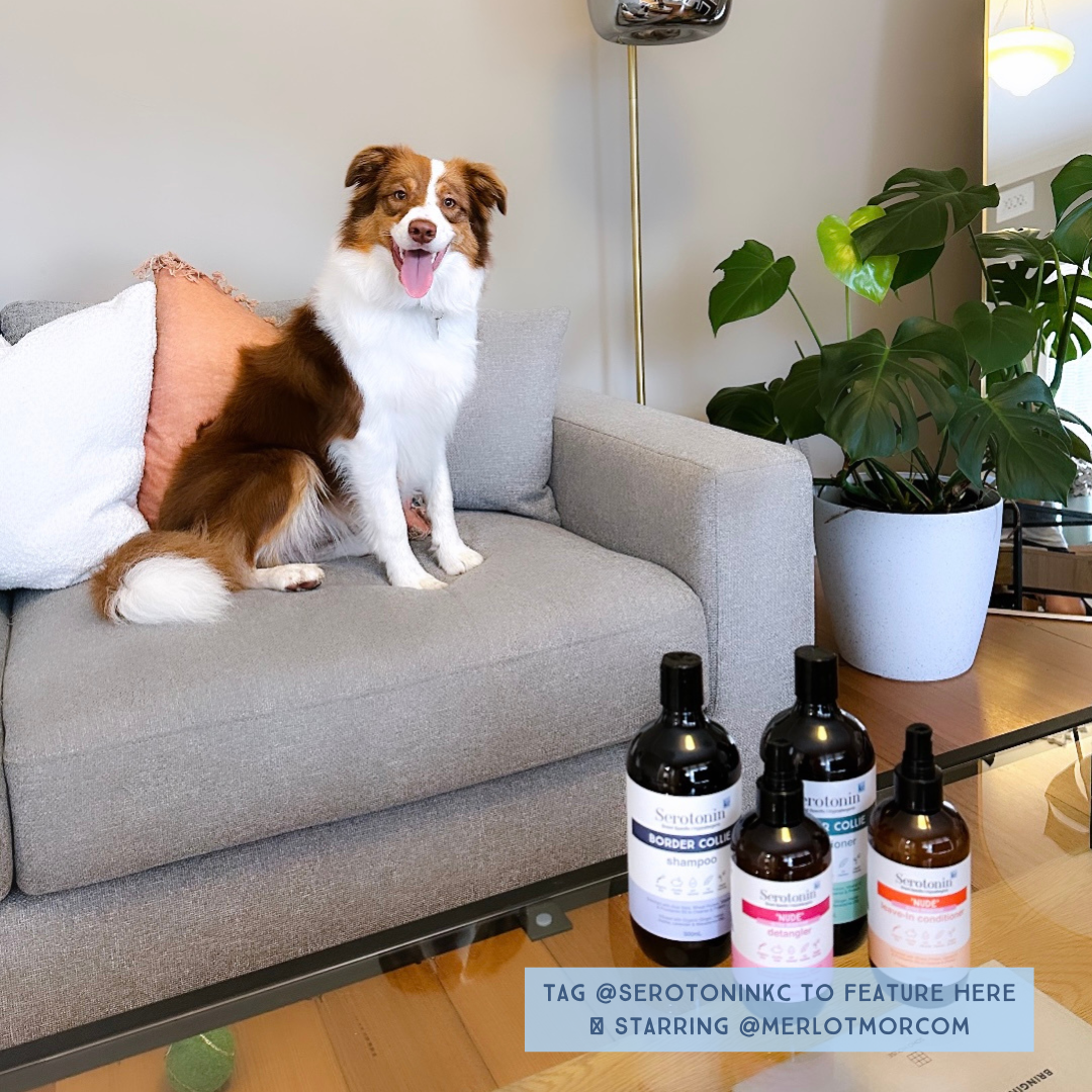 Serotoninkc Hypoallergenic Border Collie Shampoo & Conditioner Bundle ...